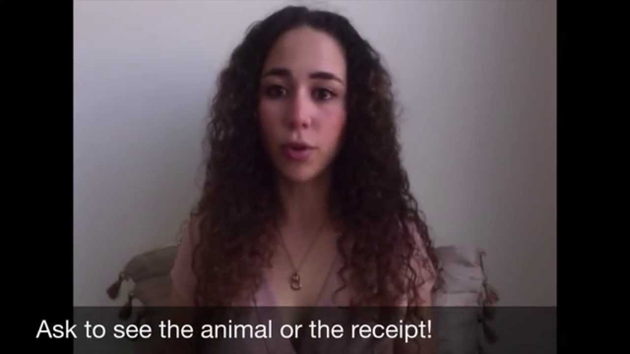 How To Avoid Animal Donation Scams
