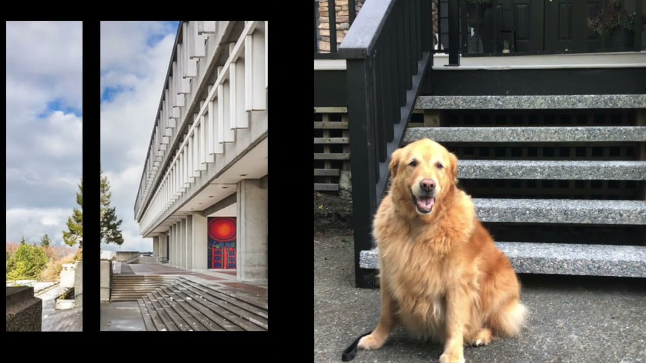 Functional Precast Concrete Stair Treads