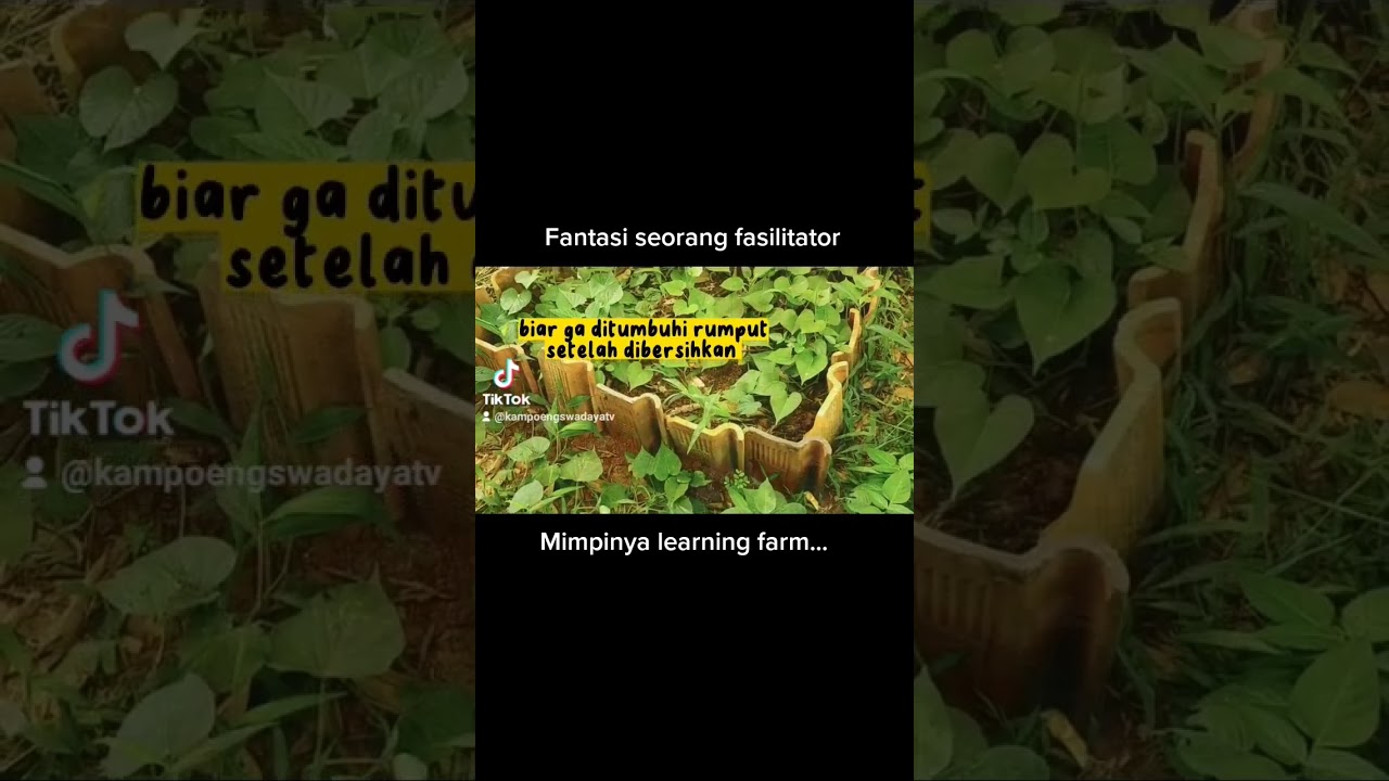 Mimpinya fasilitator juga perlu tinggi