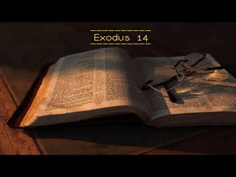 Exodus 14 - New International Version