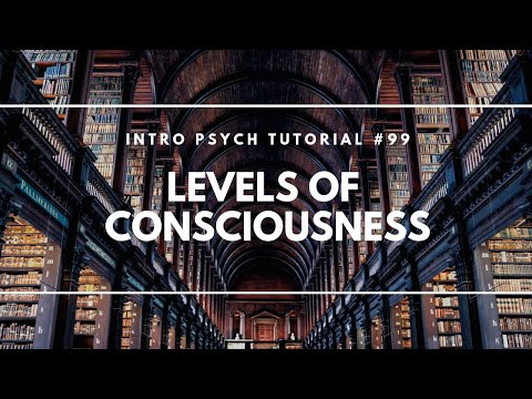 Levels of Consciousness (Intro Psych Tutorial #99)