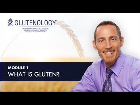What is Gluten? Gluten Simply Explained - Glutenology Masterclass