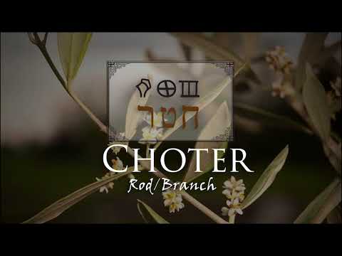 The Mystery in Choter and Netzer: The Rod & Branch of Jesse