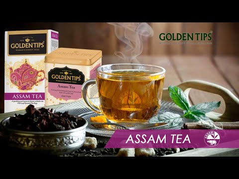 How to Make Assam Tea | All know About Assam Tea | Golden Tips Tea
