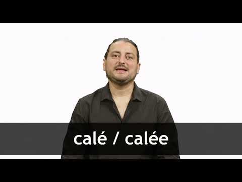 English Translation of “CALÉ” | Collins French-English Dictionary