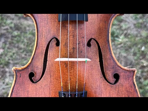 Powerful Fine Jake Priddy Guarneri Del Gesu 2026 | Reverb Australia