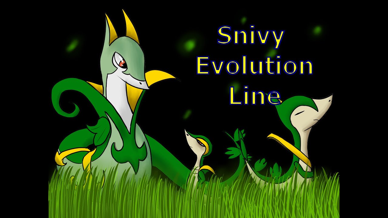 Snivy Evolution Line Speedart