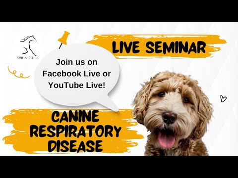 Canine Respiratory Disease Seminar Live!