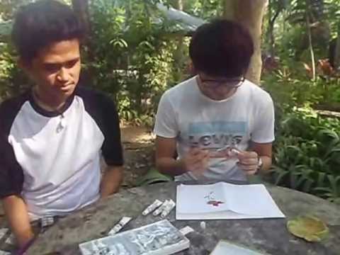 General Psychology - Insight Learning