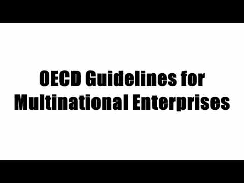 OECD Guidelines for Multinational Enterprises