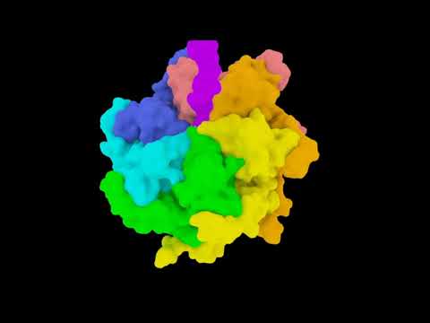 Freeze Frame: Researchers Solve How Cells Unfold Proteins