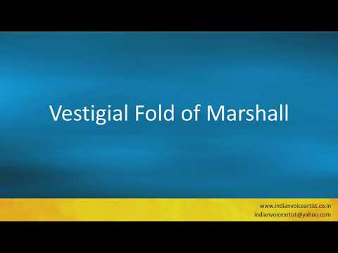 Pronunciation of the word(s) "Vestigial Fold of Marshall".