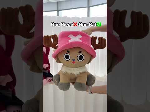One Piece❌One Cat✅ #plushshop #onepiece#trafalgarlaw #chopper #tonytonychopper #plushshop