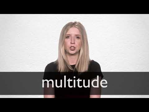 MULTITUDE definition and meaning | Collins English Dictionary