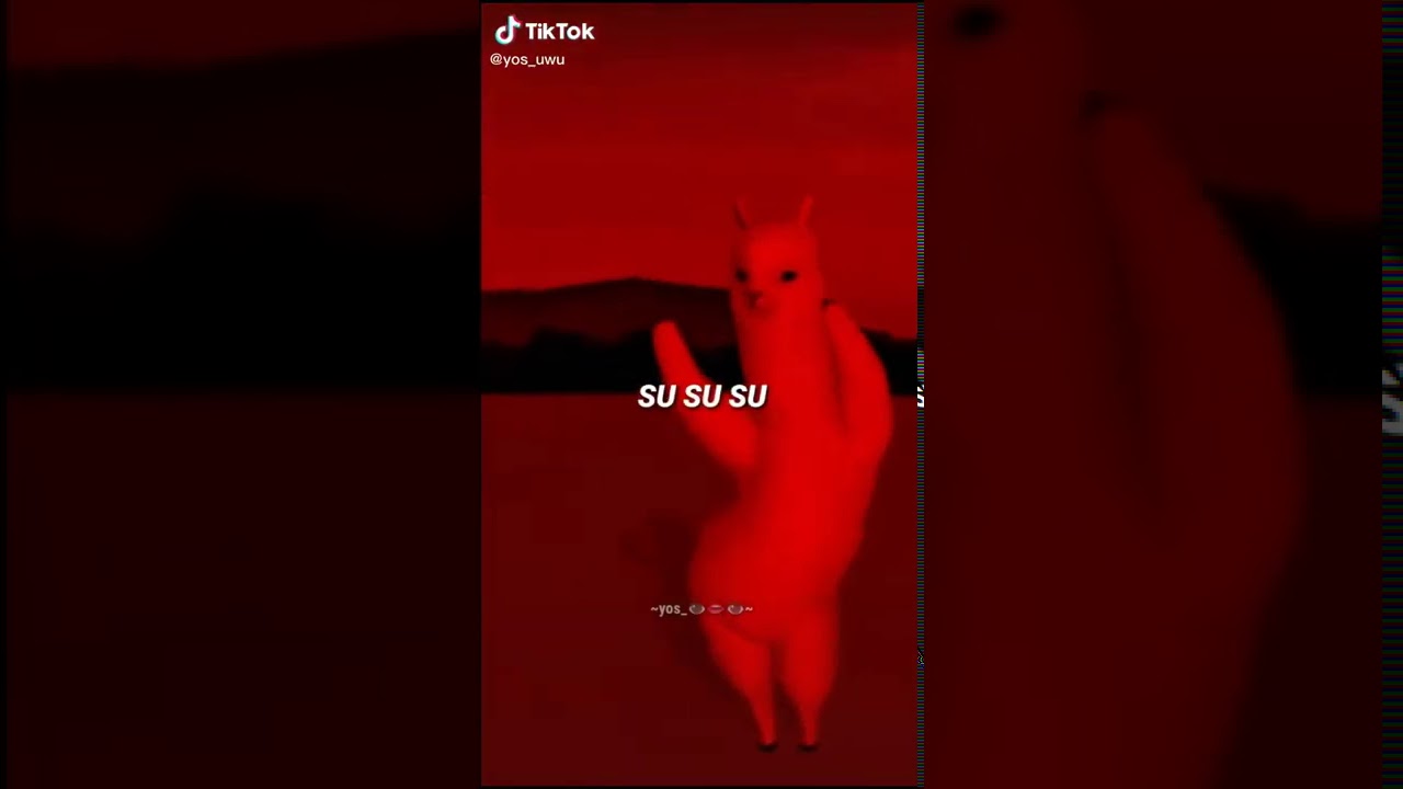 mi pan su su sum su su su mi pan yakakus ñam ñam ñam - tik tok song funny meme