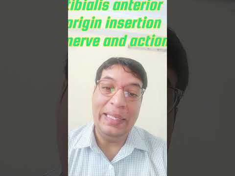 origin insertion nerve and action tibialis anterior muscle #physiotherapy #medical #exercise