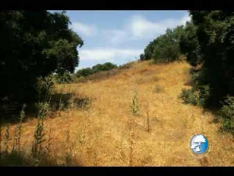 One Valley, One Vison: Land Use Element - Part 4