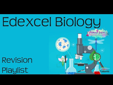 Edexcel Biology Playlist. Revision for 9-1 GCSE Biology or Combined Science.