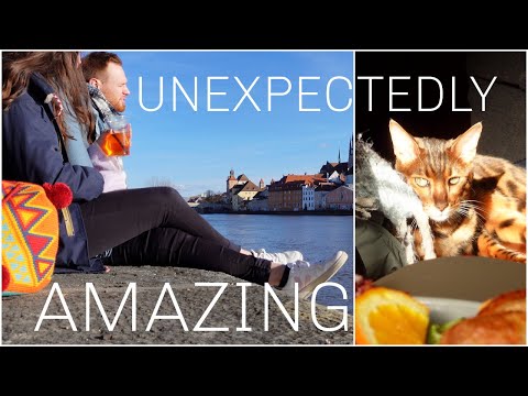 Day trip to REGENSBURG, Germany (cat cafe, vegan food) + 3 TIPS on how to annoy Germans | VLOG