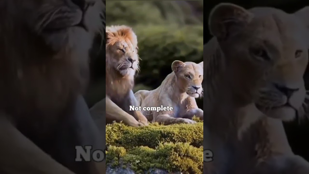 A king is not complete without his queen.