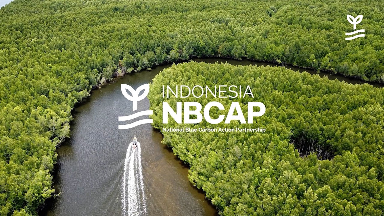 Indonesia National Blue Carbon Action Partnership