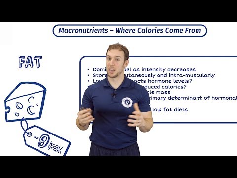 Fat Intake | The Role of Fat In The Diet with Eric Helms