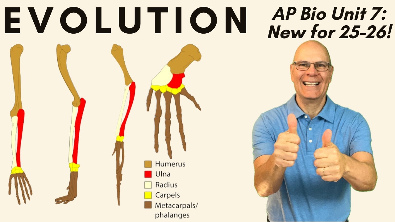 AP Bio Evolution (Unit 7) Mega-Review (25–26): From Natural Selection to Speciation to Phylogeny