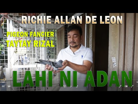 Episode19 RICHIE ALLAN DE LEON - Pigeon Fancier Member of MMFC, RRPC