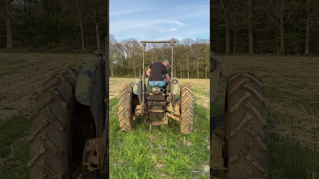 Fordson Major E27n in action