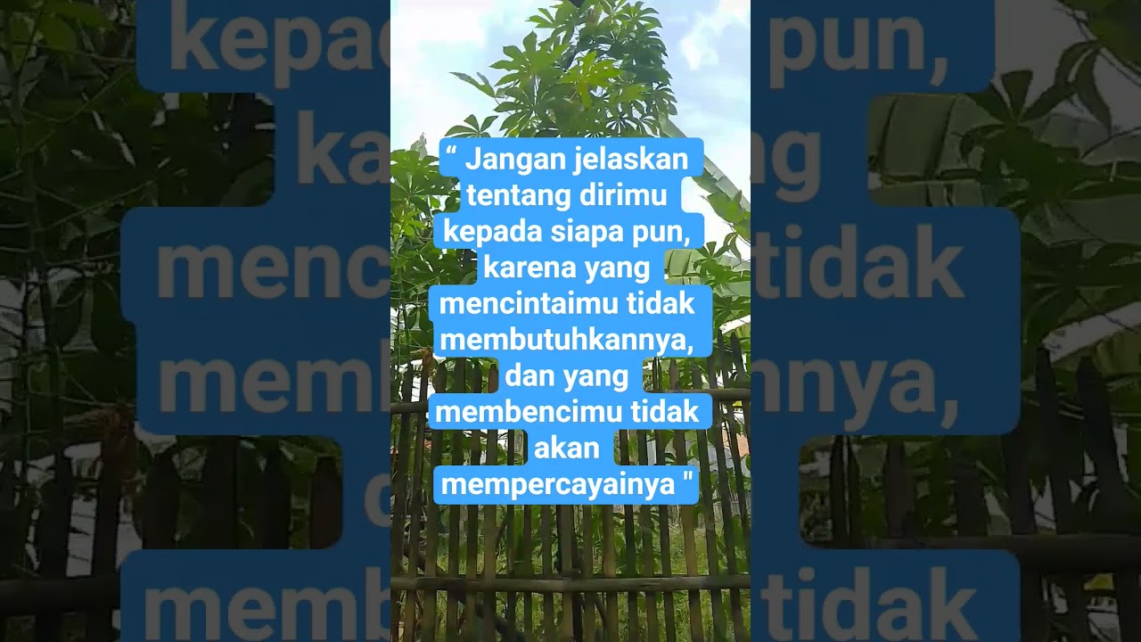 CUKUP DIAM #quotes #motivasi #shortvideo #viralvideo #katamutiara #fyp