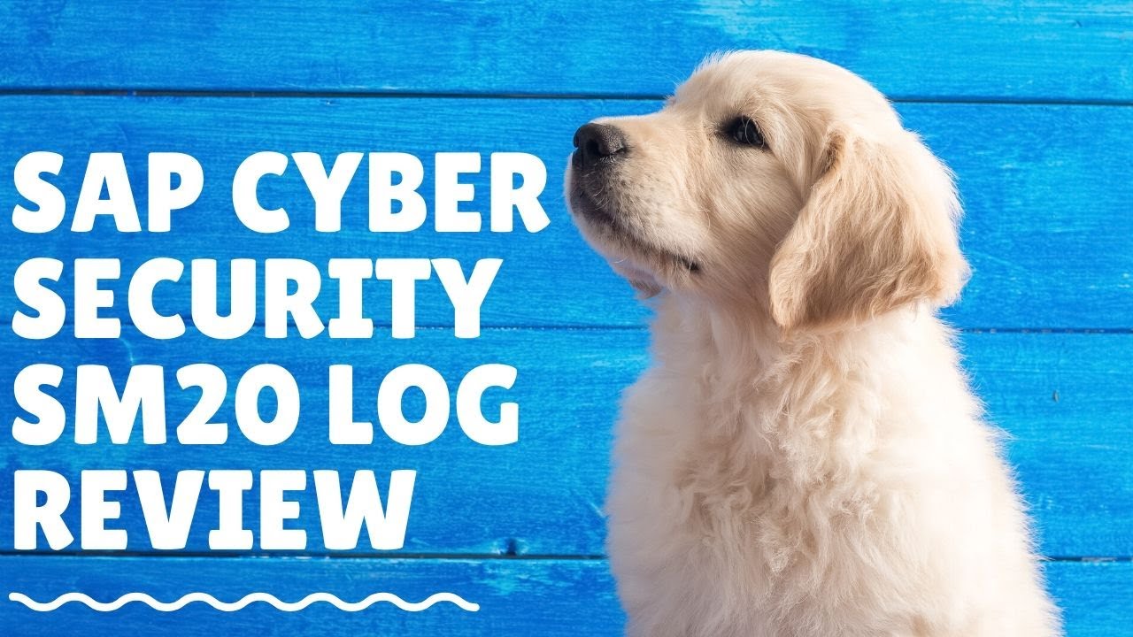 SAP Cyber Security SM20 LOG Review