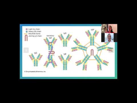 The Immune System and COVID 19 Testing