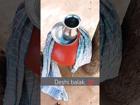 deshi balak 🕳️ Gujarat village of India || #villagelife #vlog #culture #village