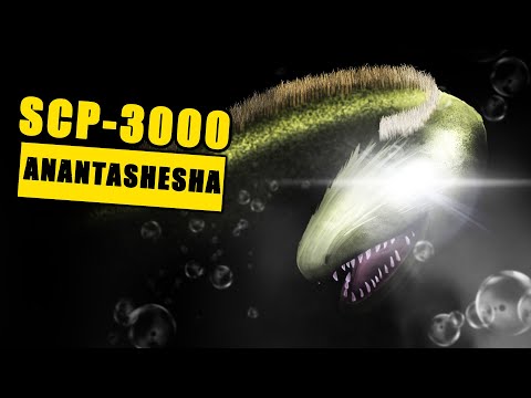 SCP-3000 - What remains at the end…