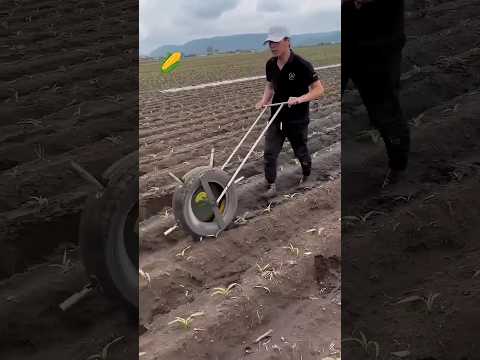unique agriculture fertilizer spreader😲 #satisfying #agriculture #short #shorts #fertilizerspreader