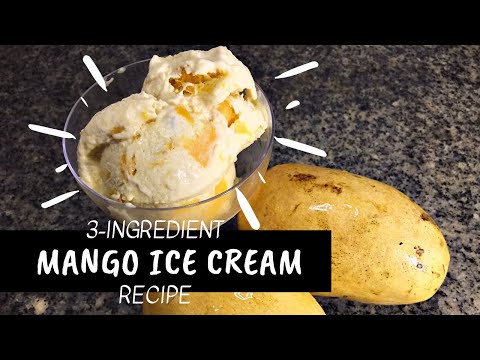 3 INGREDIENT MANGO ICE CREAM RECIPE USING KEN GOURMET DUO | + product review | kremberries
