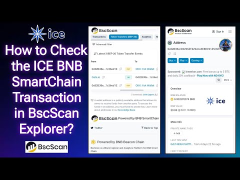 How to Check the ICE BNB SmartChain Transaction History in BscScan Explorer Step-by-Step Guide