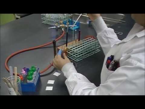 seroidentificationdesstrep