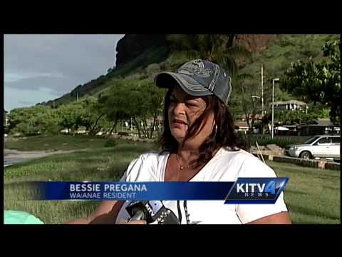 Whatever happened to Waianae housing for homeless? – Honolulu Homeless ...