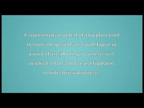 Fig leaf Meaning