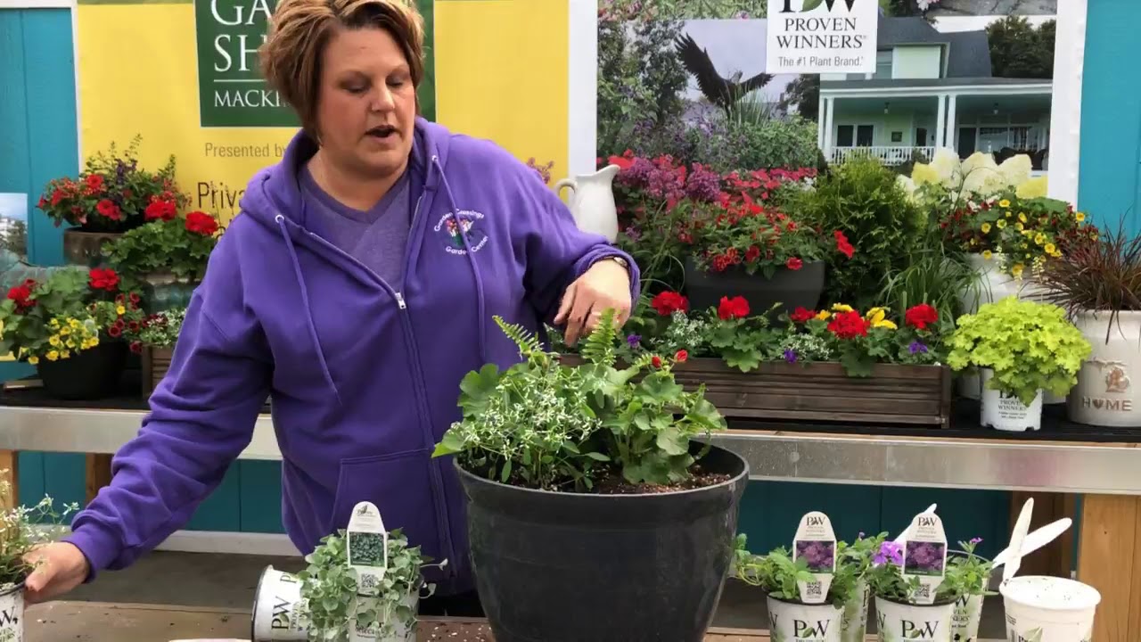 Container Gardening with Geraniums | gardencrossings.com