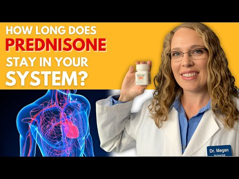 How Long Does Prednisone Stay In Your System