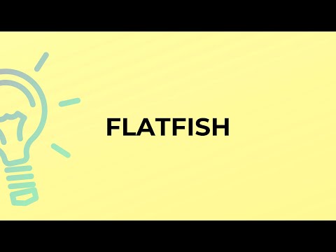 What is the meaning of the word FLATFISH?