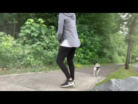 When Circles Aren't Possible: Loose Leash Walking with Poe