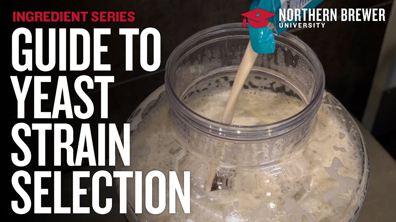 Homebrewer's Guide to Yeast Strain Selection