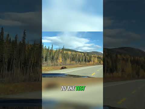 Can Our New Suspension Survive The Alaska Roads?