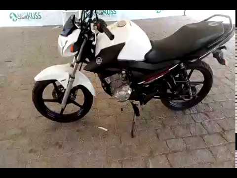 115964 - YAMAHA / YBR 150 FACTOR ED 17/18