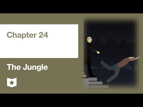 The Jungle Study Guide | Course Hero