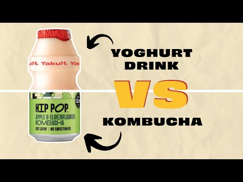 Kombucha vs Probiotic Yoghurt Drinks