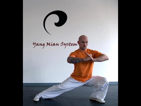 Yin Yang Bāguà is a Part in the Yang Mian Family System